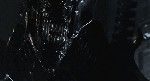 The Alien Franchise: Horror’s Ultimate Tribute To Motherhood ...