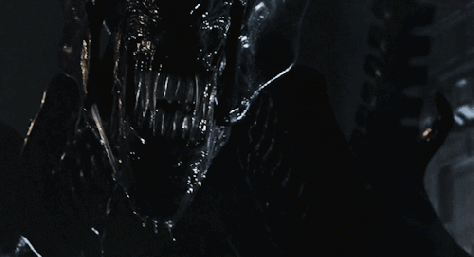 The Alien Franchise: Horror’s Ultimate Tribute To Motherhood ...
