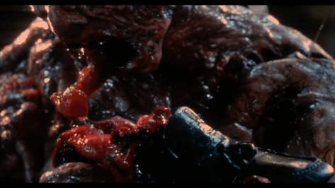 (VIDEO) That Deleted Scene From “The Fly” 1986 That Went Too Damn Far ...